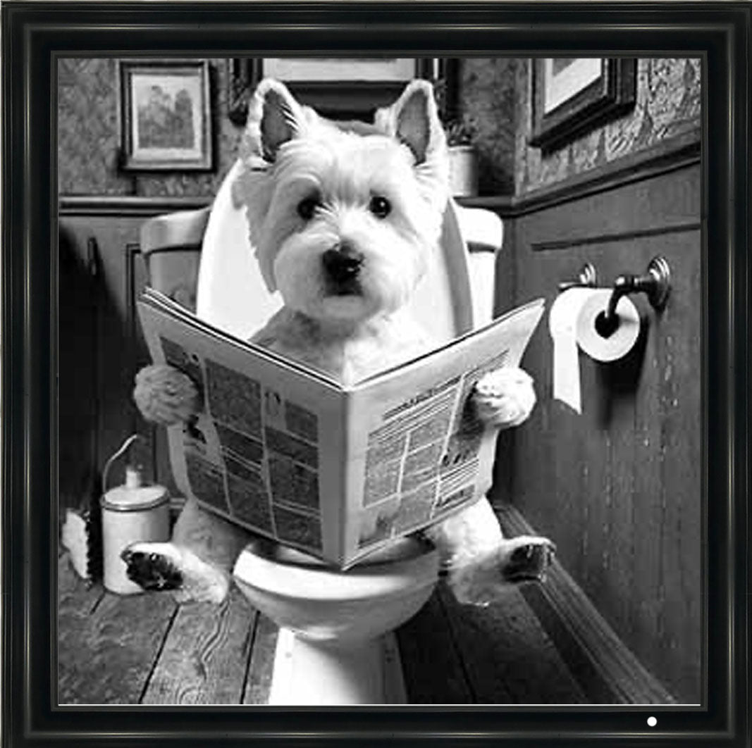 AN2122-B&W WESTIES ON THE TOILET – Final Touches