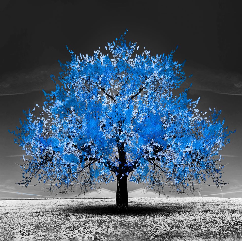 LS440 BLUE TREE – Final Touches