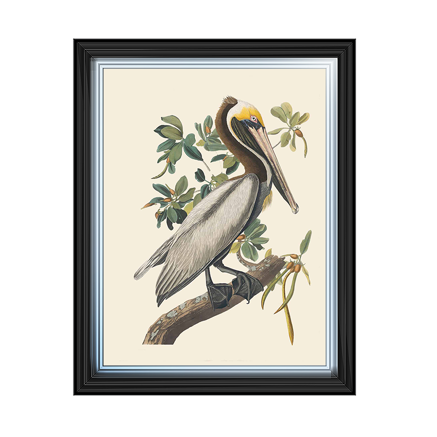 Pelican mural – Final Touches