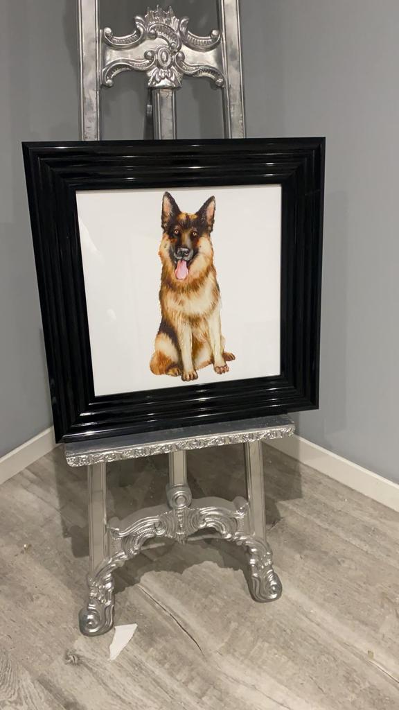 AN871 German Shepherd – Final Touches