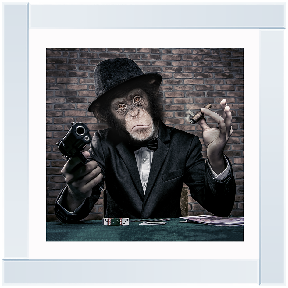 AN178 Gangster Chimp – Final Touches